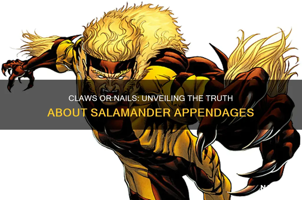 Claws Or Nails: Unveiling The Truth About Salamander Appendages | Nailicy