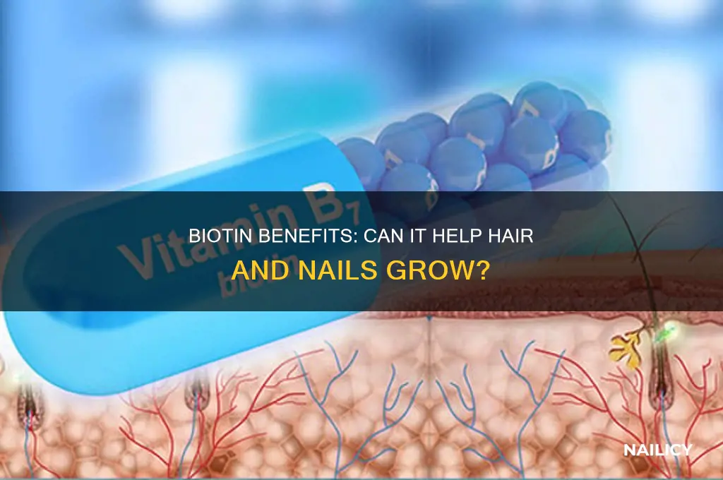 Biotin Benefits: Can It Help Hair And Nails Grow? | Nailicy