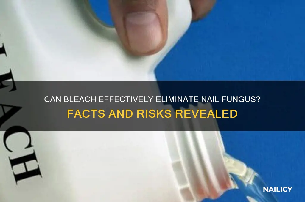Can Bleach Effectively Eliminate Nail Fungus? Facts And Risks Revealed ...