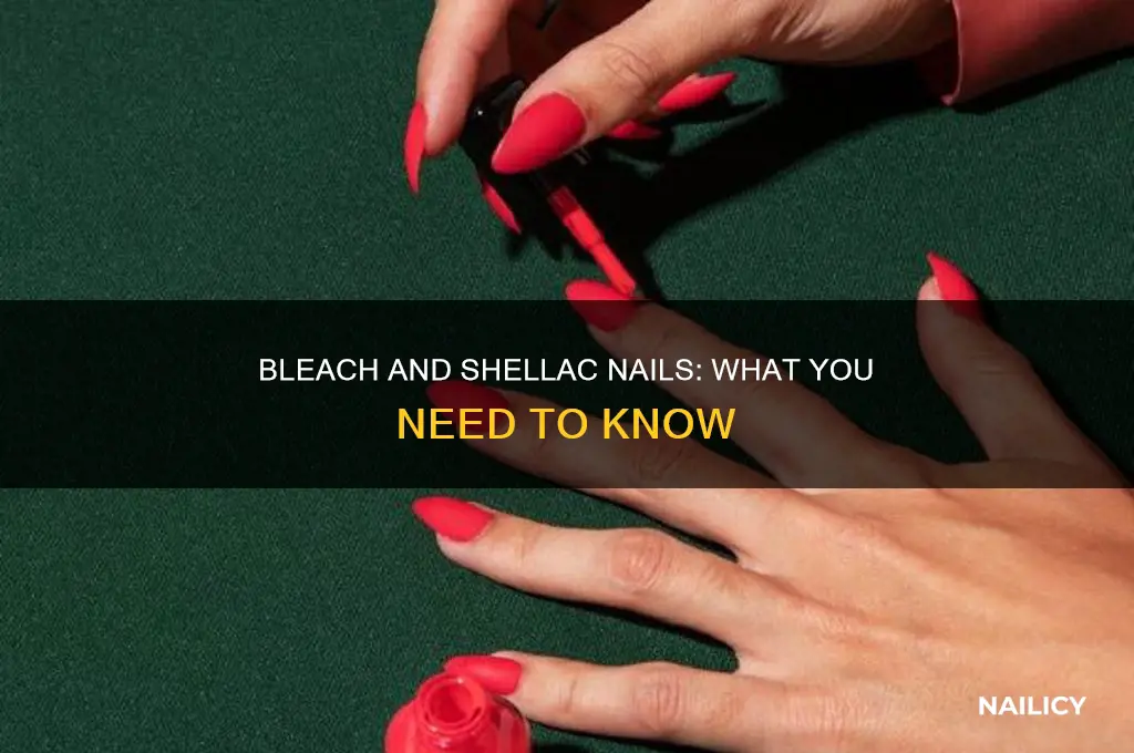 Bleach And Shellac Nails: What You Need To Know | Nailicy