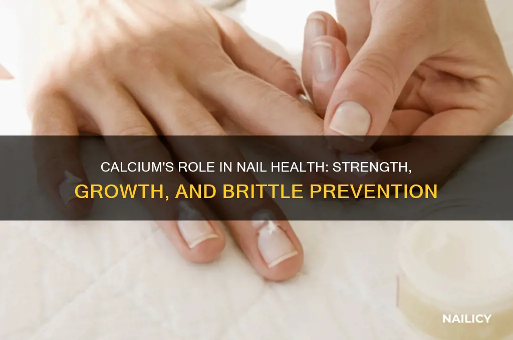 Calcium's Role In Nail Health: Strength, Growth, And Brittle Prevention ...