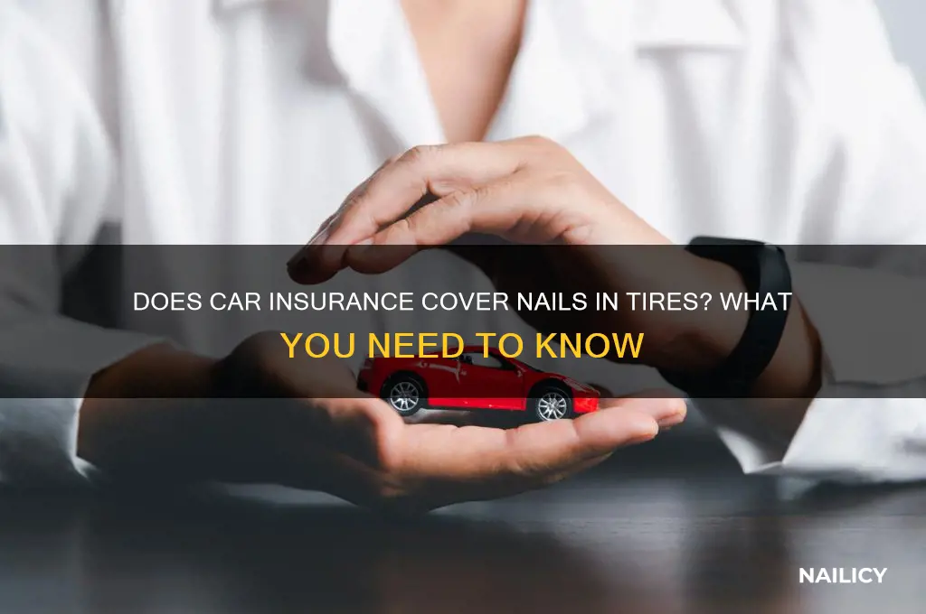 Does Car Insurance Cover Nails In Tires? What You Need To Know | Nailicy