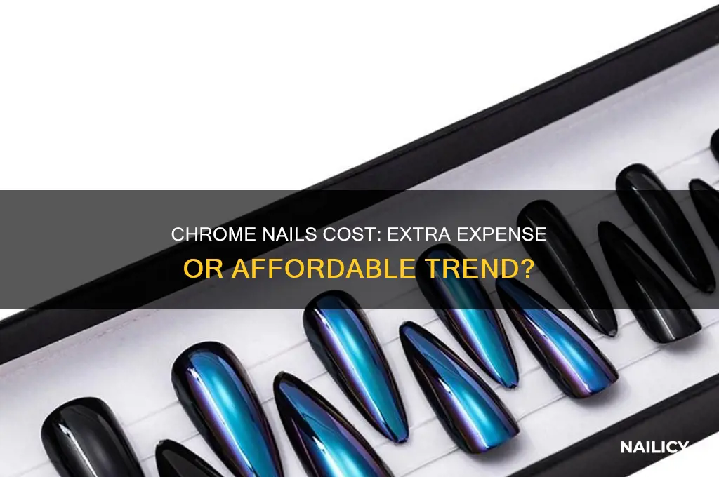 Chrome Nails Cost: Extra Expense Or Affordable Trend? | Nailicy
