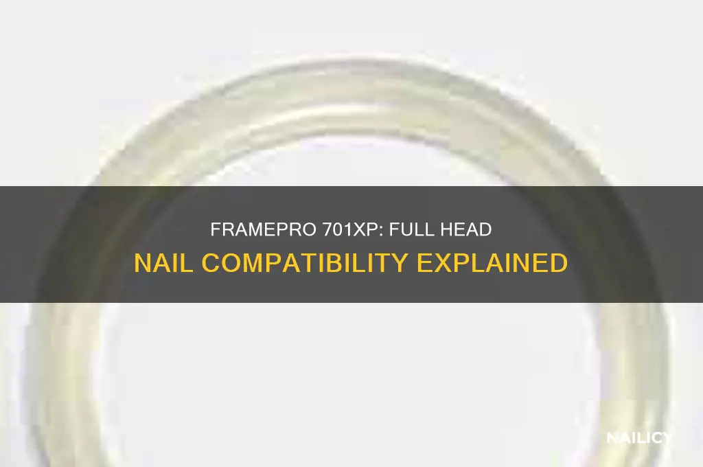 Framepro 701Xp: Full Head Nail Compatibility Explained | Nailicy
