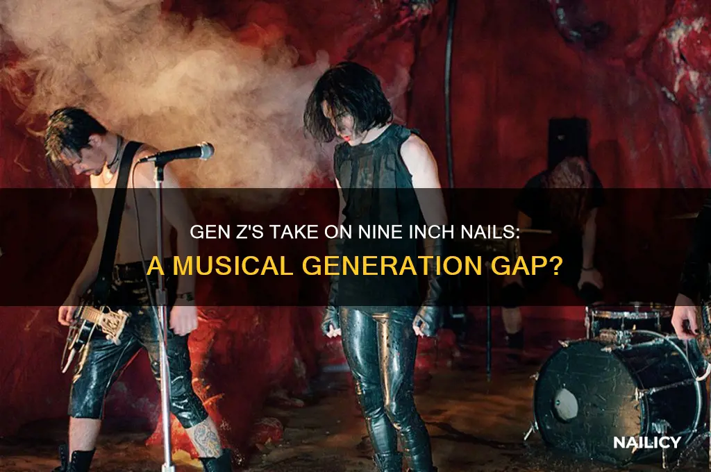 Gen Z's Take On Nine Inch Nails: A Musical Generation Gap? | Nailicy
