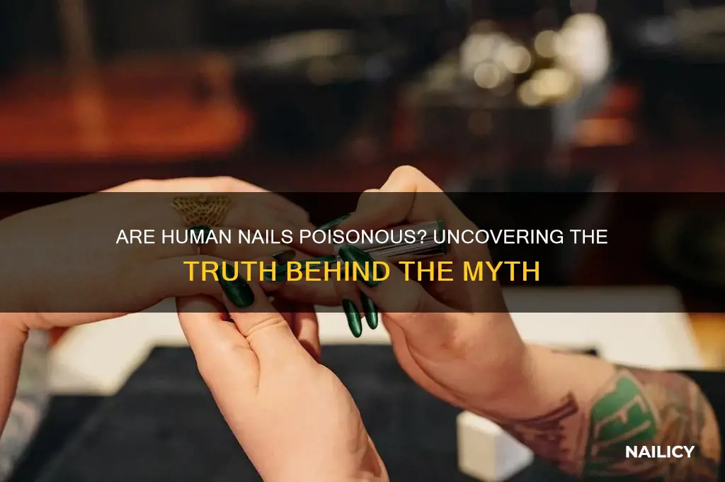 Are Human Nails Poisonous? Uncovering The Truth Behind The Myth | Nailicy