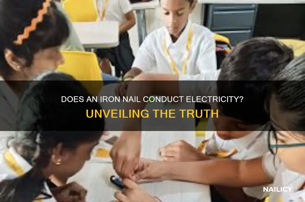 Does An Iron Nail Conduct Electricity? Unveiling The Truth | Nailicy