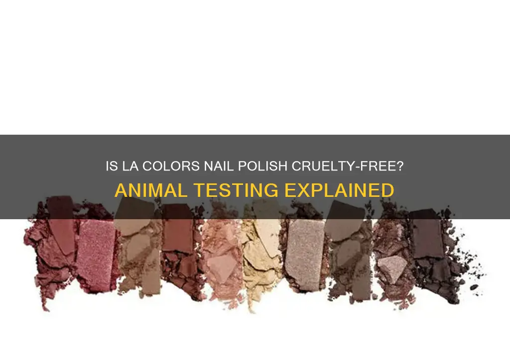 Is La Colors Nail Polish Cruelty-Free? Animal Testing Explained | Nailicy