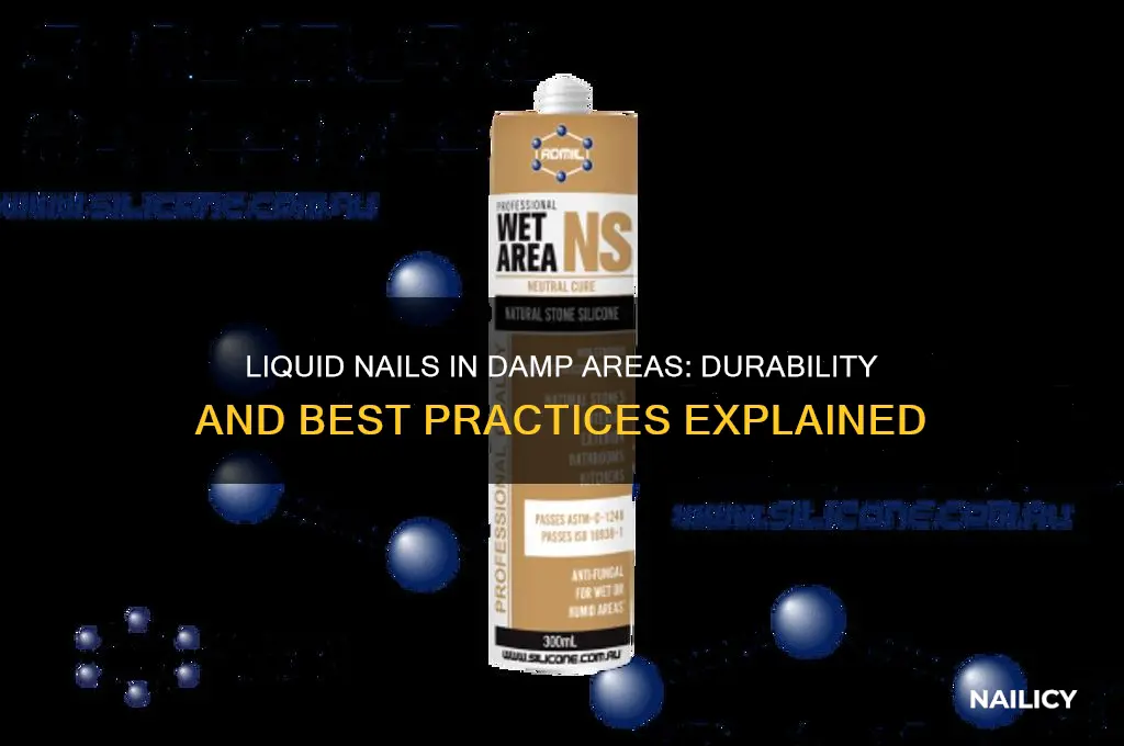 Liquid Nails In Damp Areas: Durability And Best Practices Explained ...