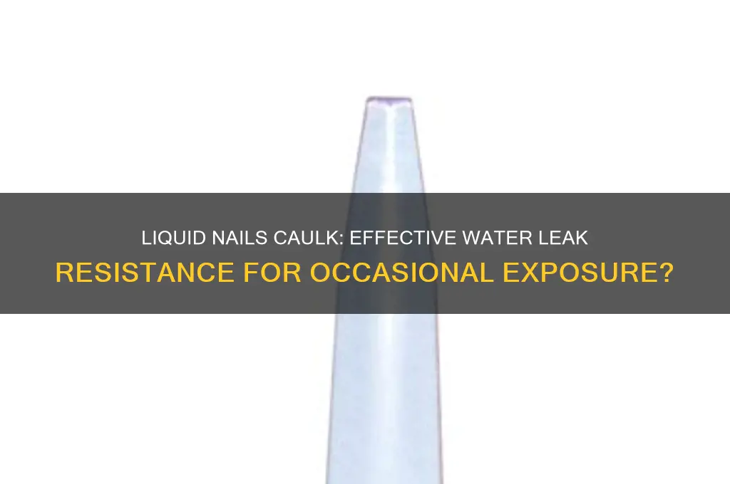 Liquid Nails Caulk: Effective Water Leak Resistance For Occasional ...
