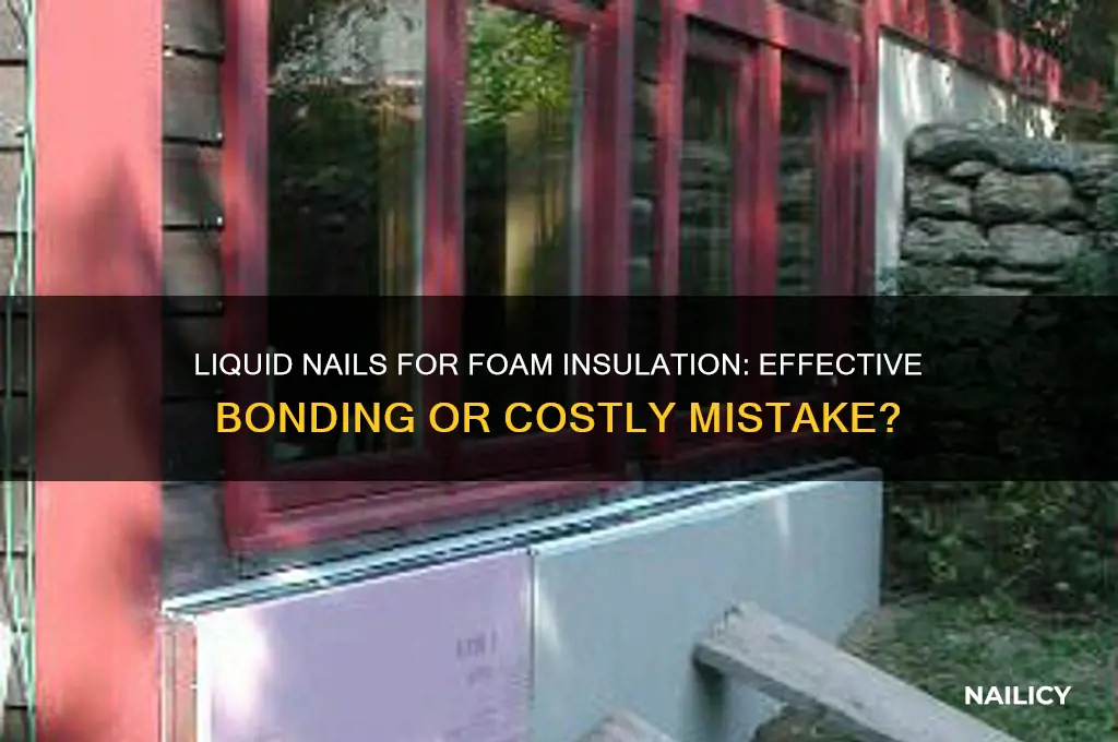 Liquid Nails For Foam Insulation: Effective Bonding Or Costly Mistake ...