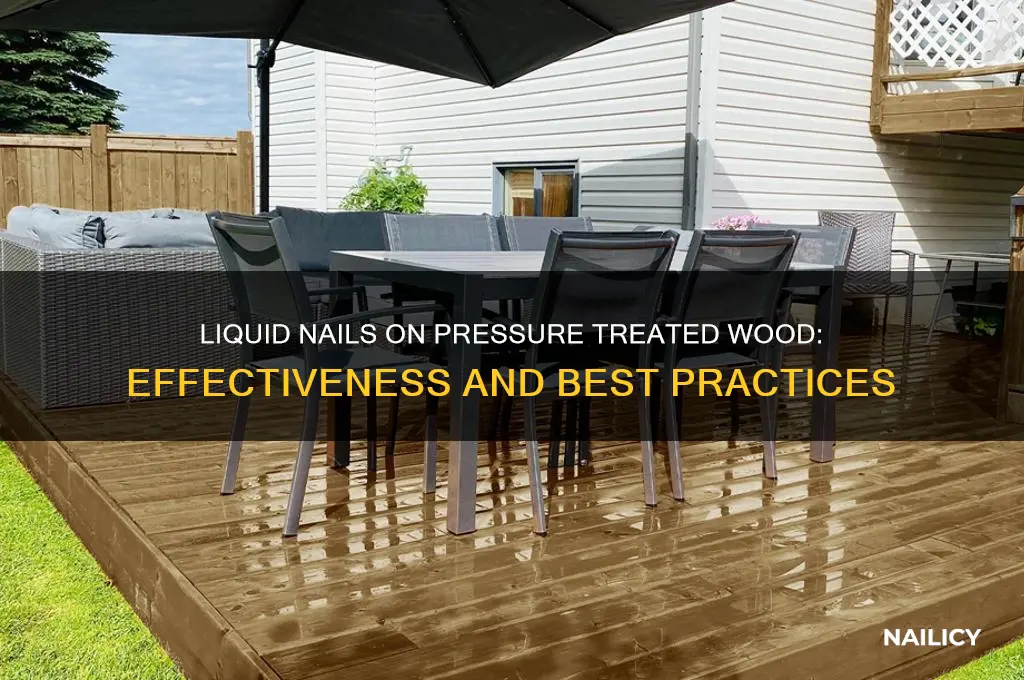 Liquid Nails On Pressure Treated Wood: Effectiveness And Best Practices ...
