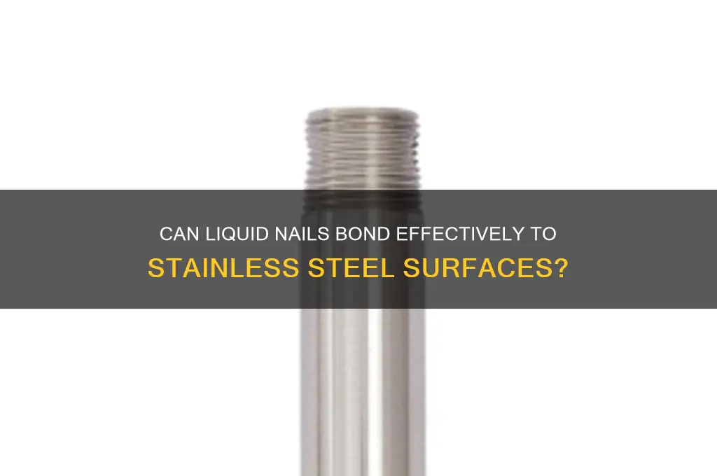 Can Liquid Nails Bond Effectively To Stainless Steel Surfaces? | Nailicy