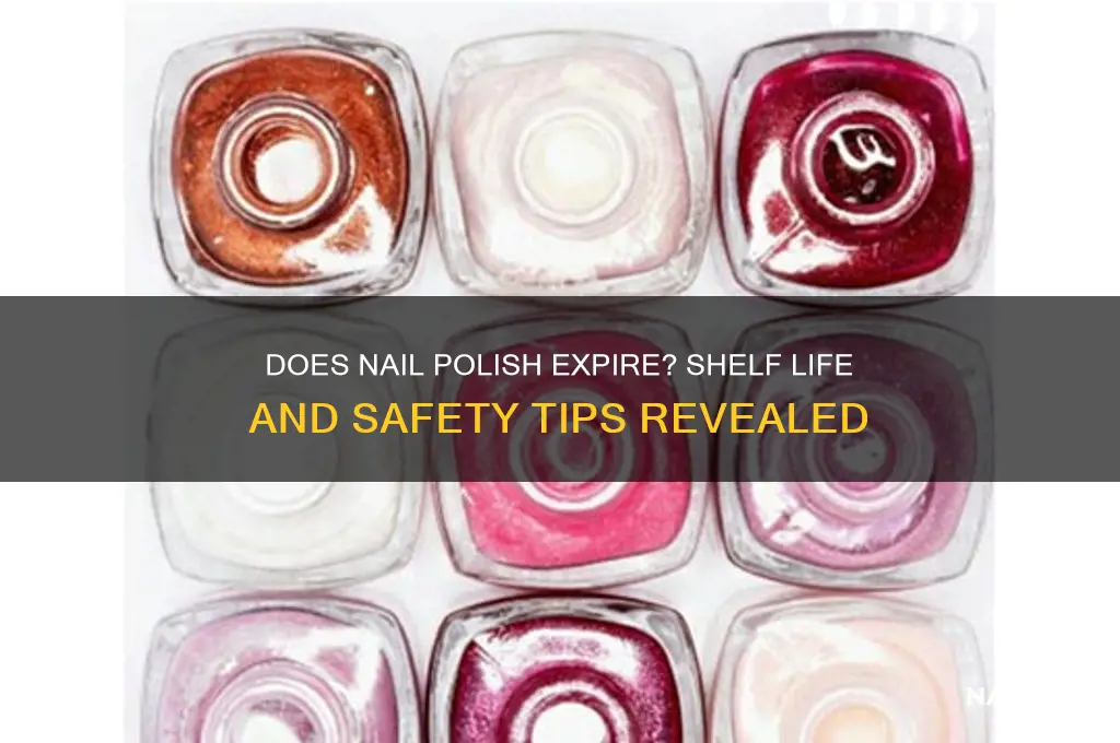 Does Nail Polish Expire? Shelf Life And Safety Tips Revealed | Nailicy