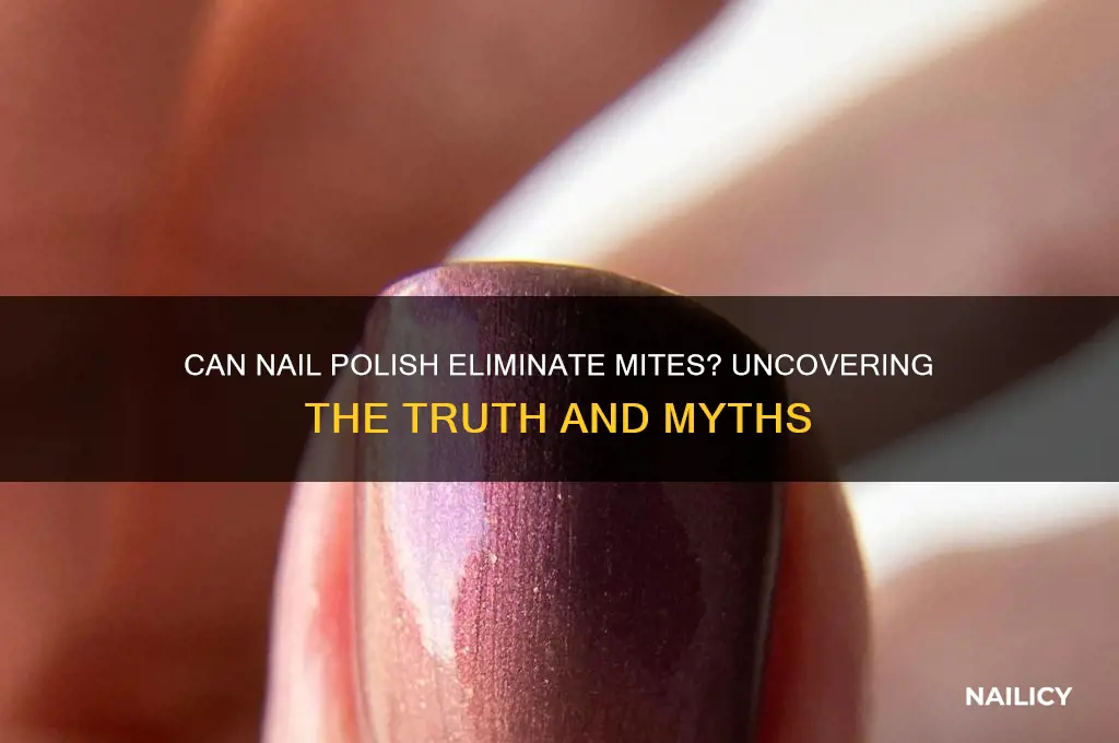 Can Nail Polish Eliminate Mites? Uncovering The Truth And Myths | Nailicy