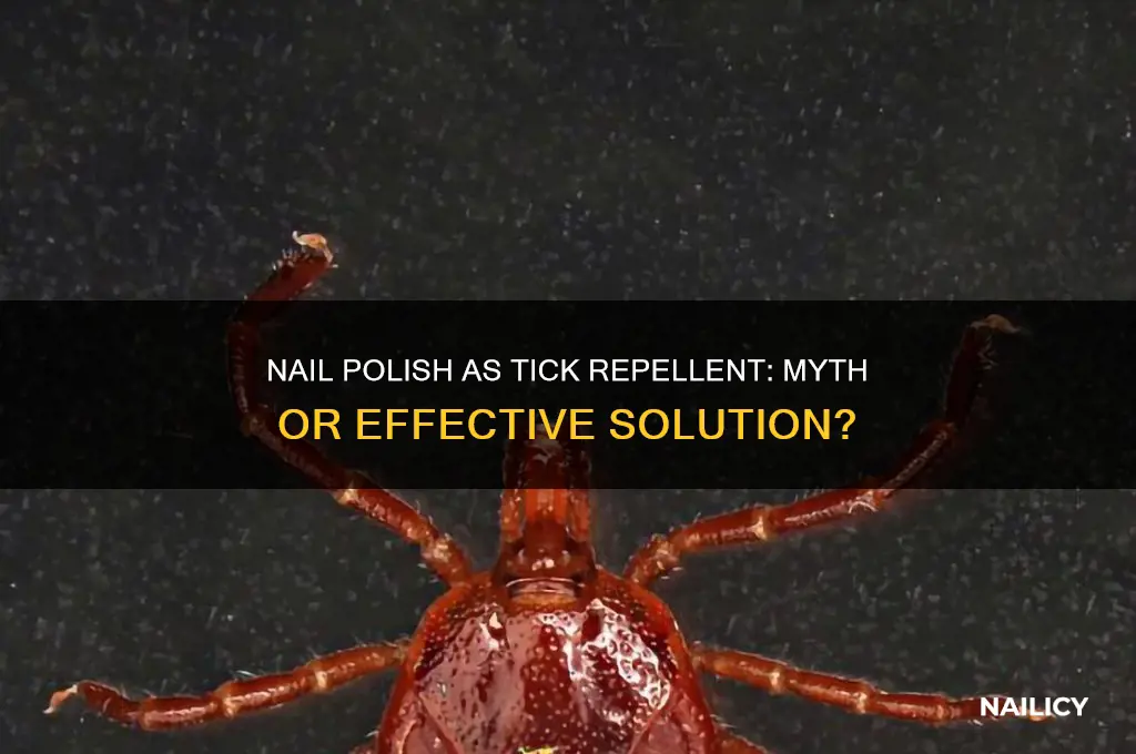 Nail Polish As Tick Repellent: Myth Or Effective Solution? | Nailicy