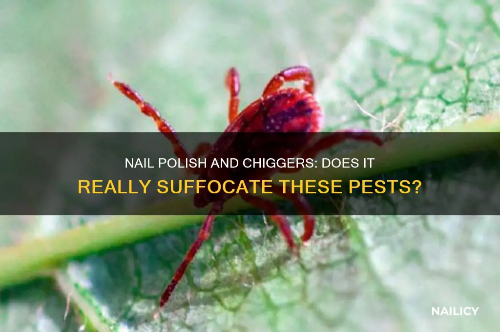 Nail Polish And Chiggers: Does It Really Suffocate These Pests? | Nailicy