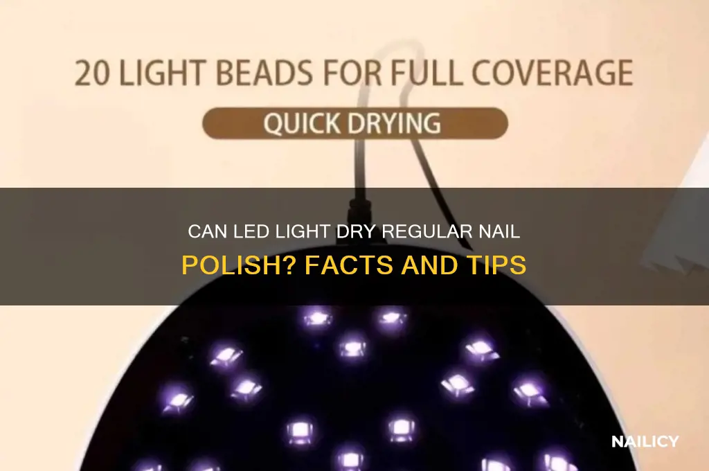 Can Led Light Dry Regular Nail Polish? Facts And Tips | Nailicy