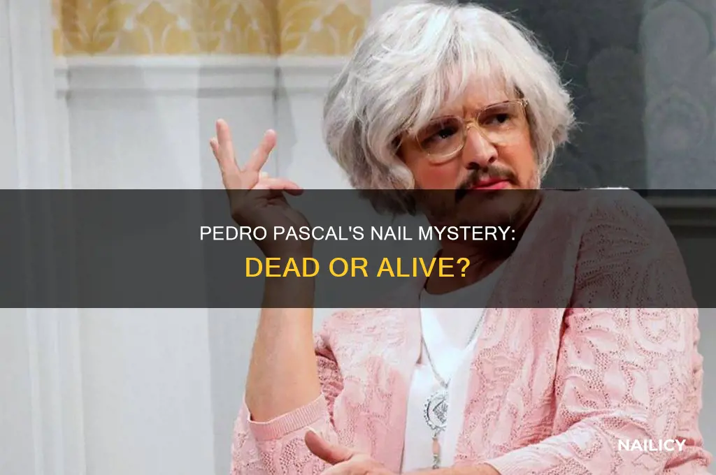 Pedro Pascal's Nail Mystery: Dead Or Alive? | Nailicy