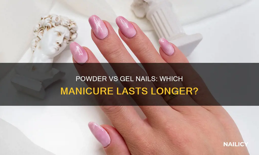 Powder Vs Gel Nails: Which Manicure Lasts Longer? | Nailicy