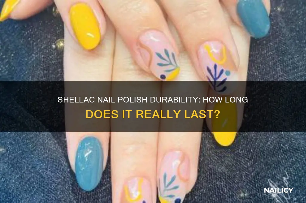 Shellac Nail Polish Durability: How Long Does It Really Last? | Nailicy