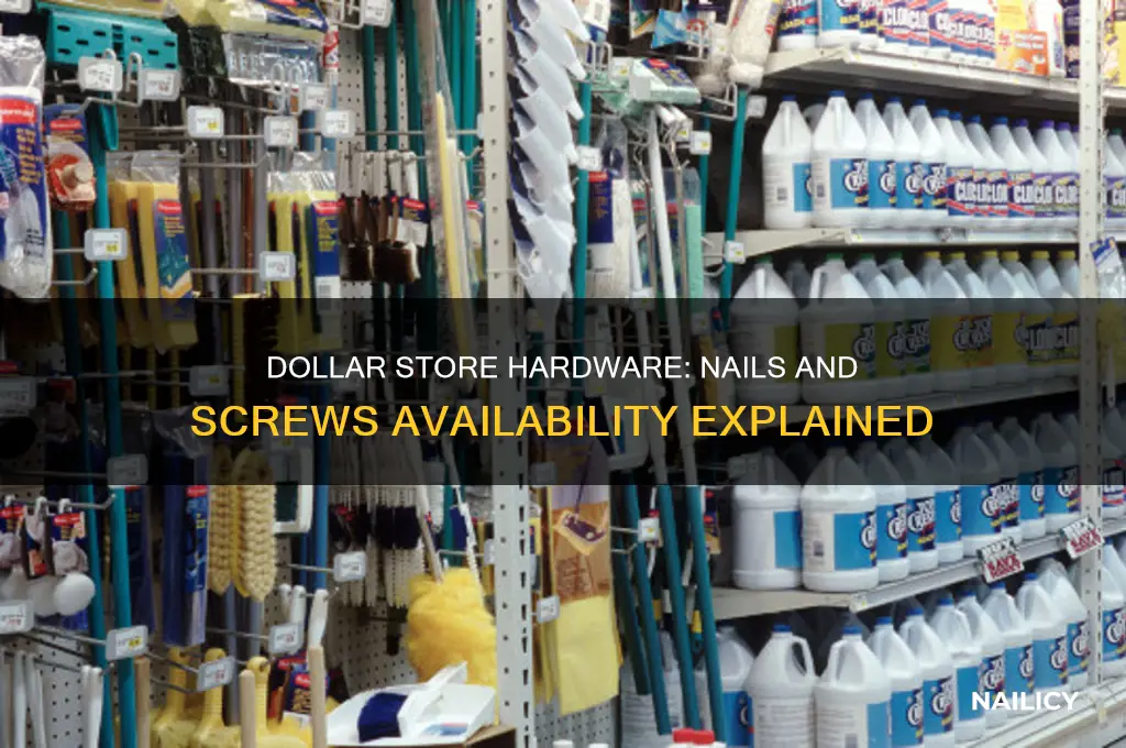 Dollar Store Hardware: Nails And Screws Availability Explained | Nailicy