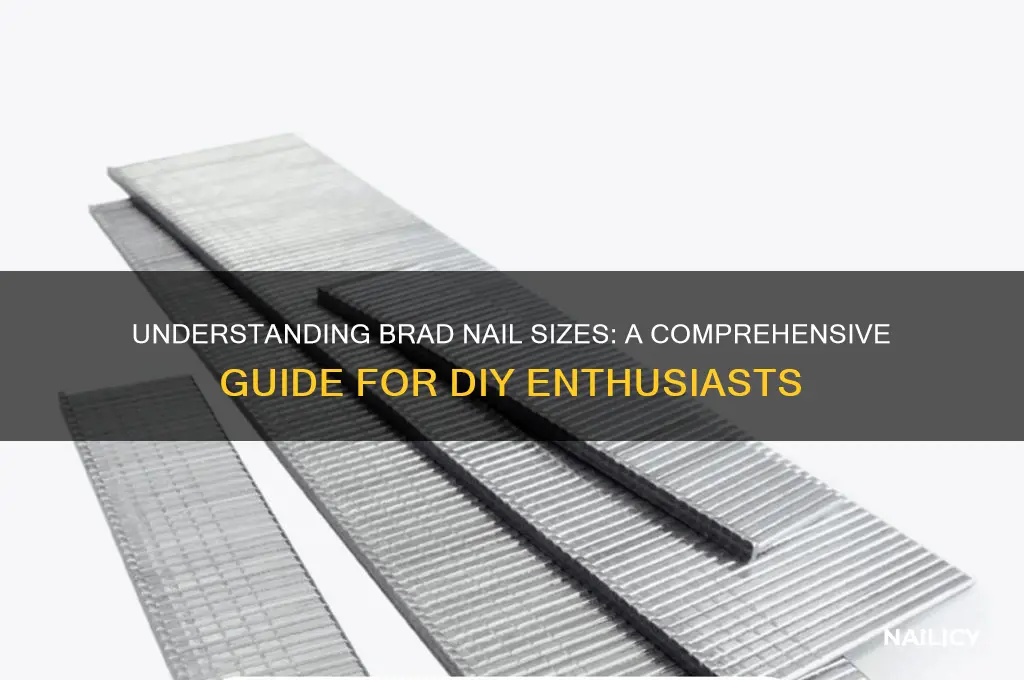 Understanding Brad Nail Sizes: A Comprehensive Guide For Diy ...