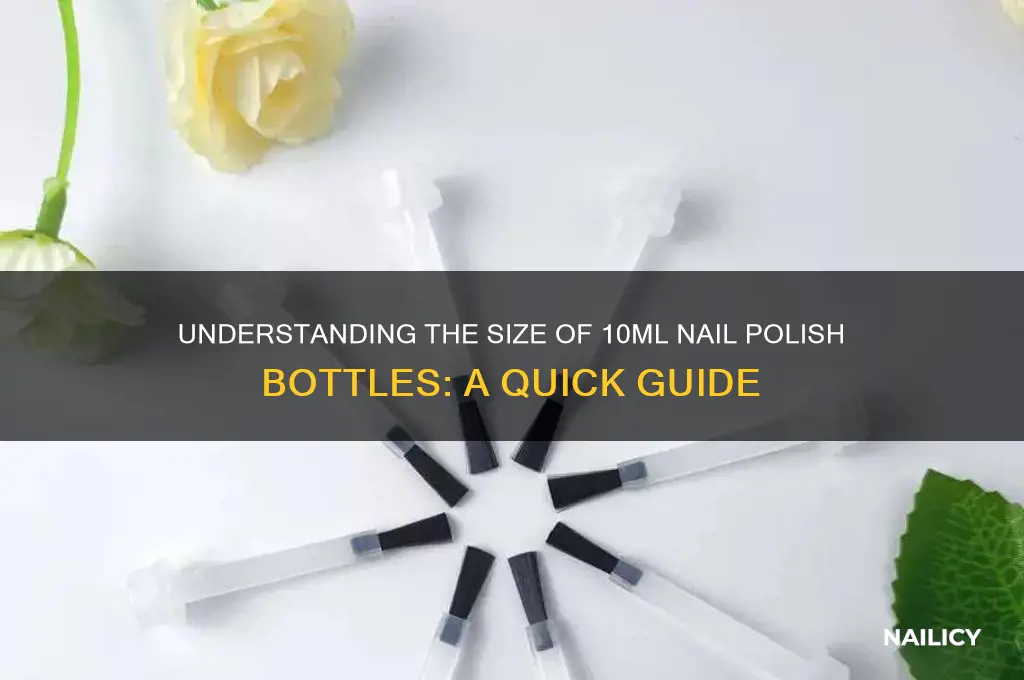 Understanding The Size Of 10Ml Nail Polish Bottles: A Quick Guide | Nailicy