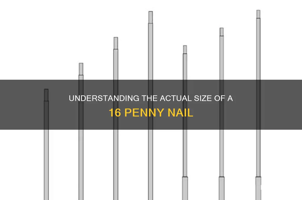 Understanding The Actual Size Of A 16 Penny Nail | Nailicy