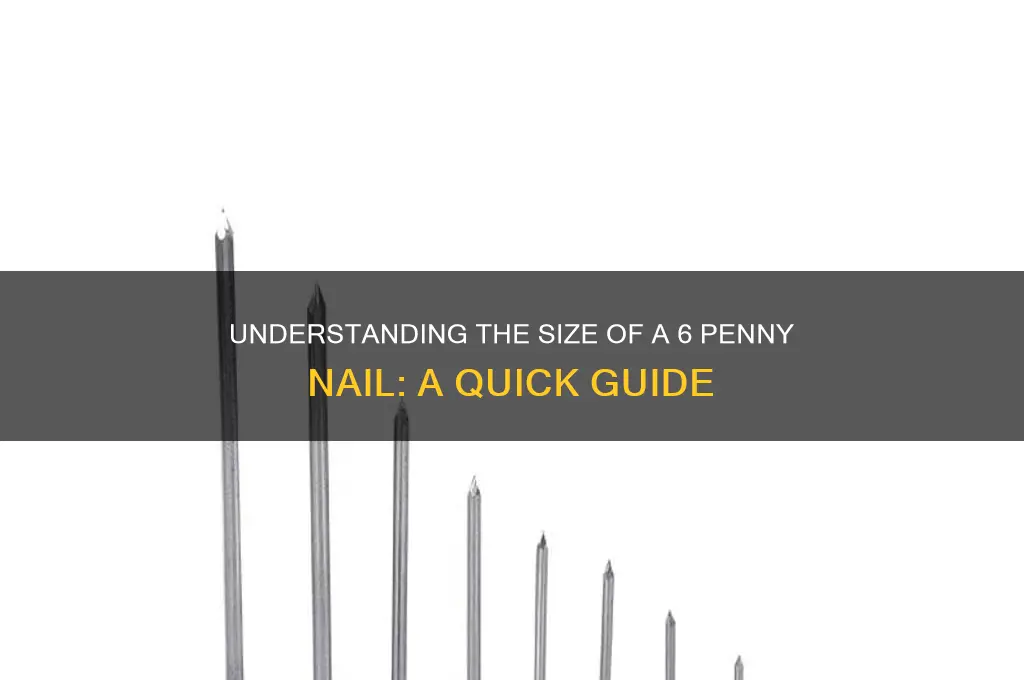 Understanding The Size Of A 6 Penny Nail: A Quick Guide | Nailicy