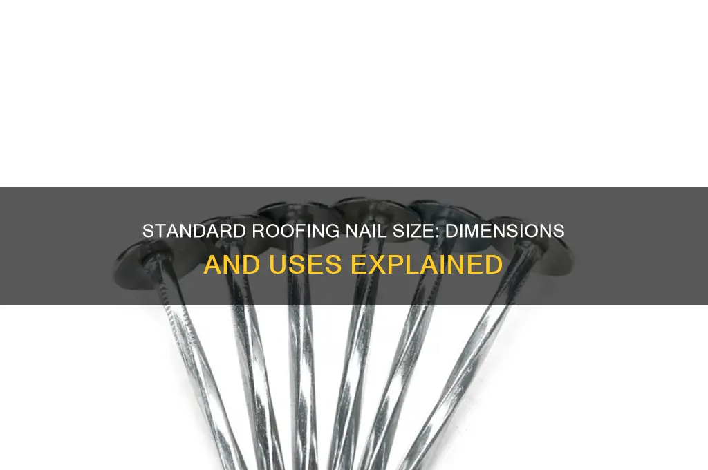 Standard Roofing Nail Size: Dimensions And Uses Explained | Nailicy