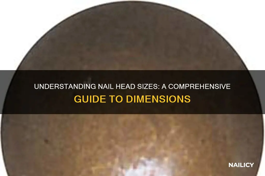 Understanding Nail Head Sizes: A Comprehensive Guide To Dimensions ...