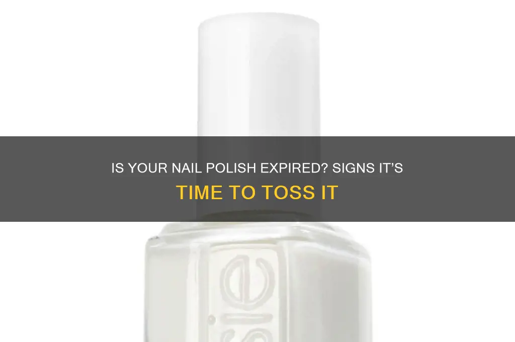 Is Your Nail Polish Expired? Signs It’S Time To Toss It | Nailicy