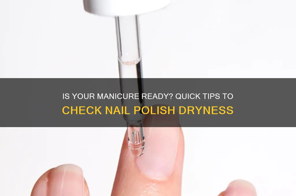 Is Your Manicure Ready? Quick Tips To Check Nail Polish Dryness | Nailicy