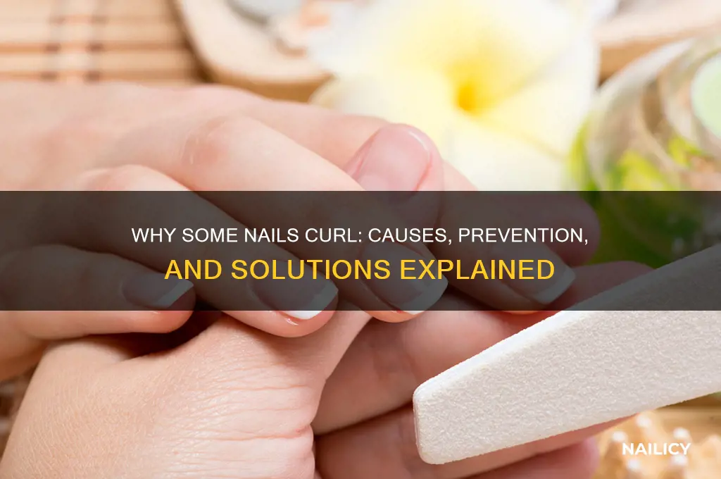 Why Some Nails Curl: Causes, Prevention, And Solutions Explained | Nailicy