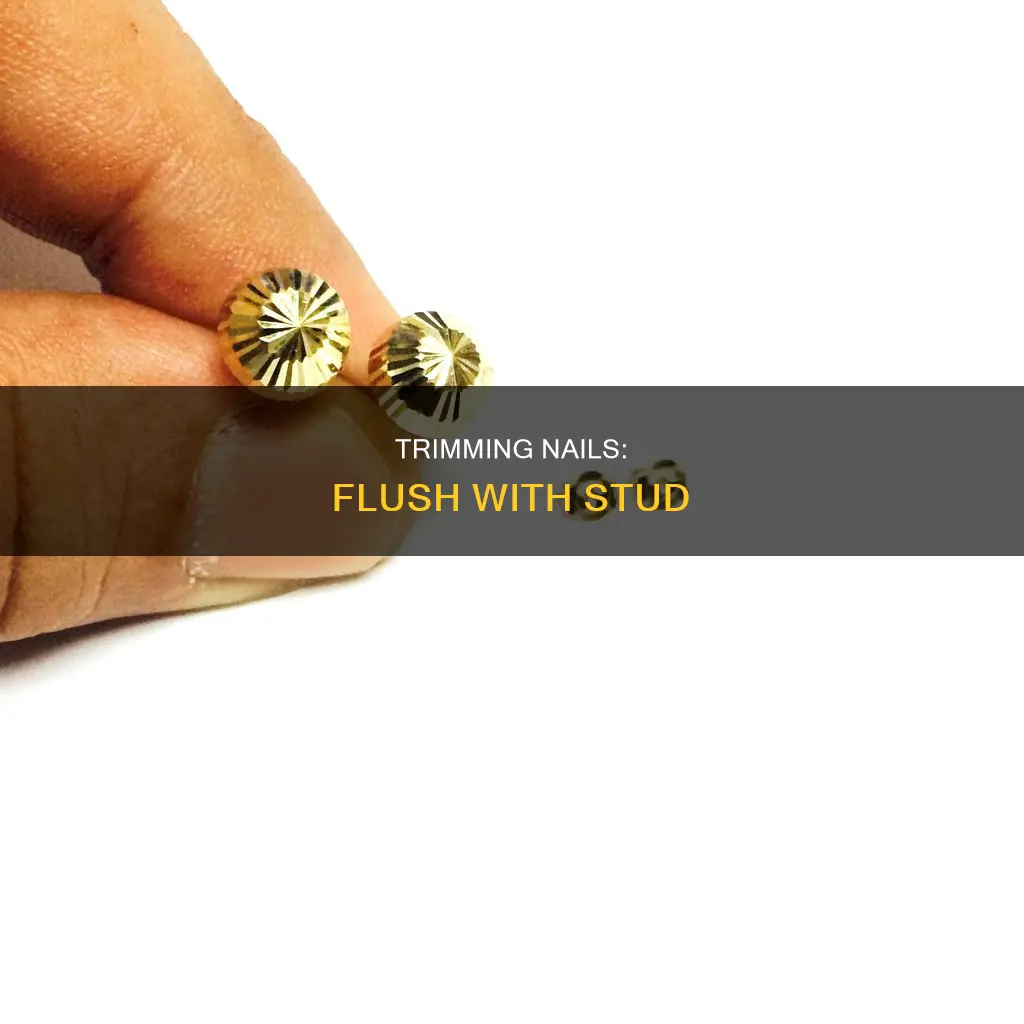 Trimming Nails: Flush With Stud | Nailicy