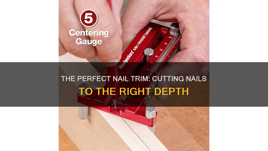 The Perfect Nail Trim: Cutting Nails To The Right Depth | Nailicy