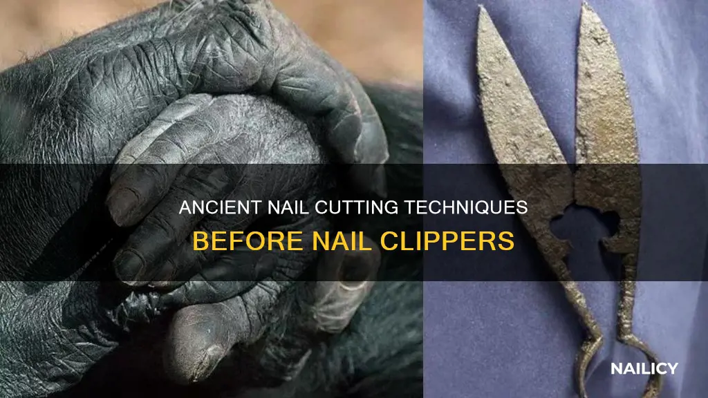 Ancient Nail Cutting Techniques Before Nail Clippers | Nailicy