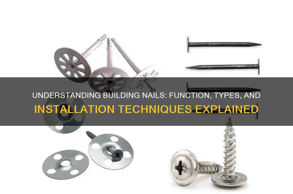 Understanding Building Nails: Function, Types, And Installation ...