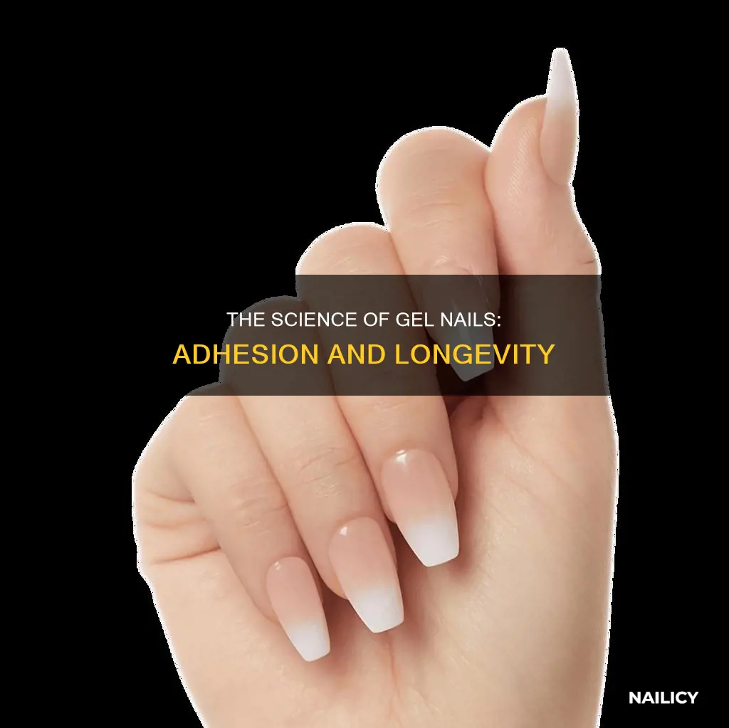 The Science Of Gel Nails: Adhesion And Longevity | Nailicy