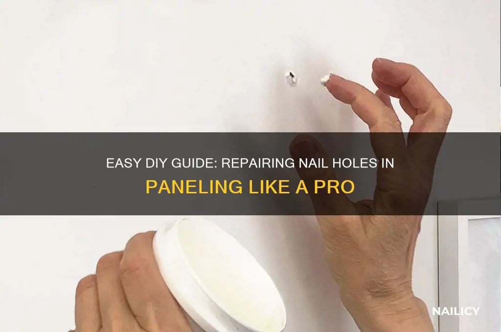 Easy Diy Guide: Repairing Nail Holes In Paneling Like A Pro | Nailicy