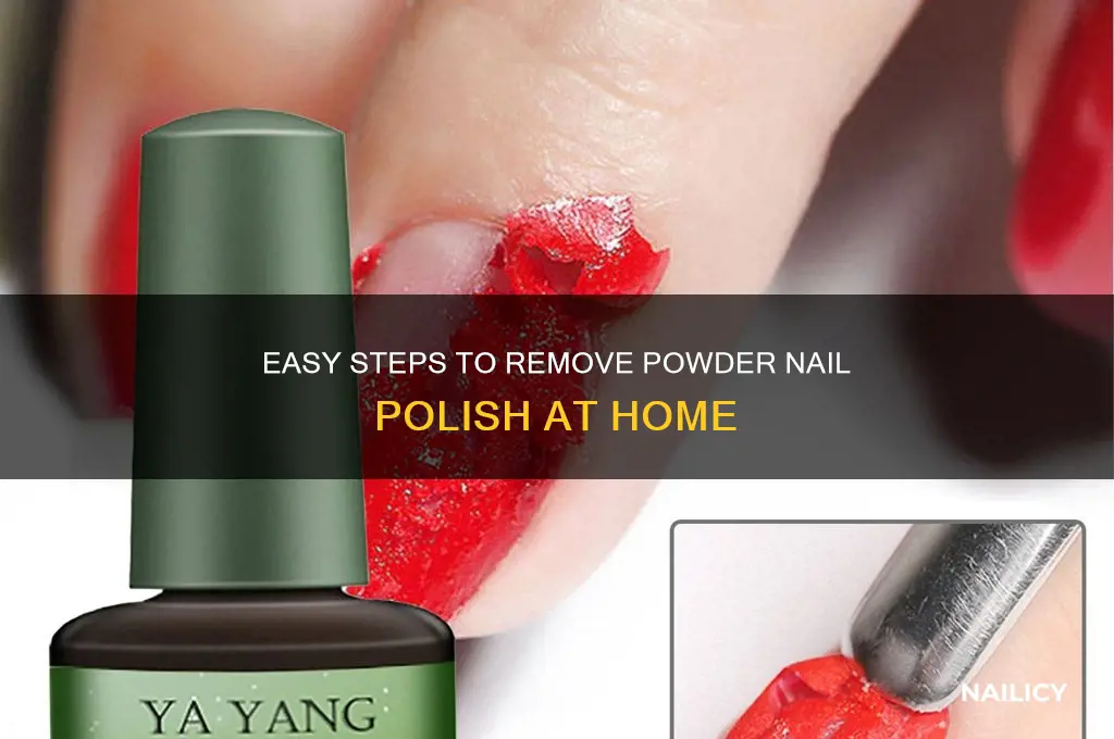 Easy Steps To Remove Powder Nail Polish At Home | Nailicy