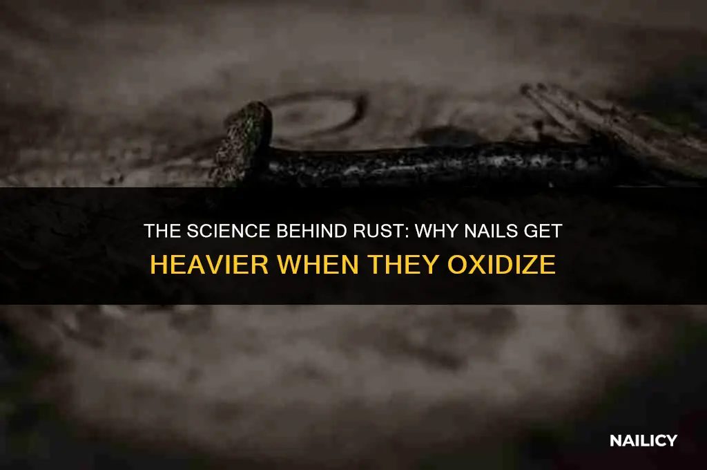 The Science Behind Rust: Why Nails Get Heavier When They Oxidize | Nailicy
