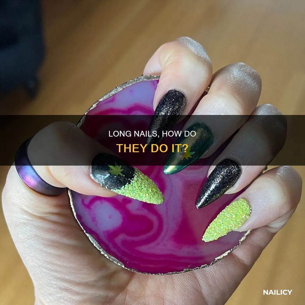Long Nails, How Do They Do It? | Nailicy