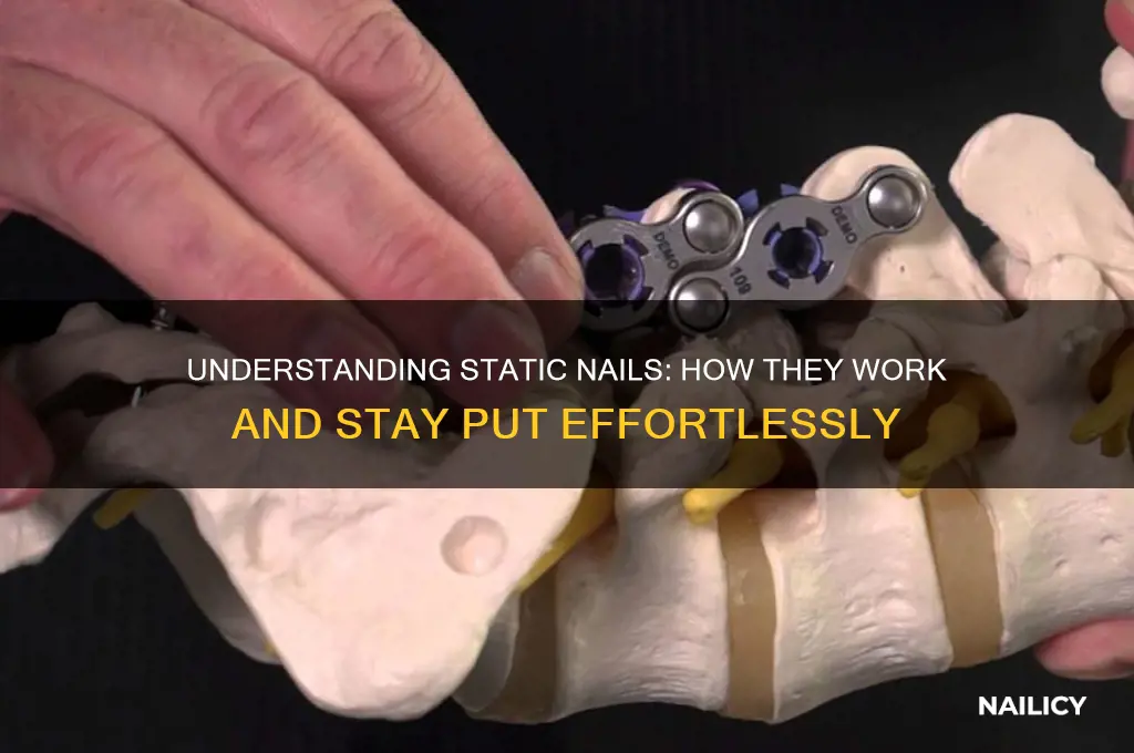 Understanding Static Nails: How They Work And Stay Put Effortlessly ...
