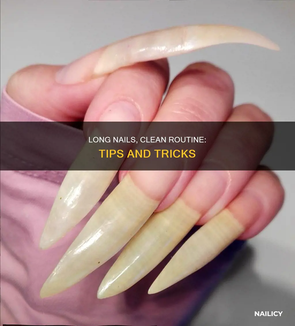 Long Nails, Clean Routine: Tips And Tricks | Nailicy
