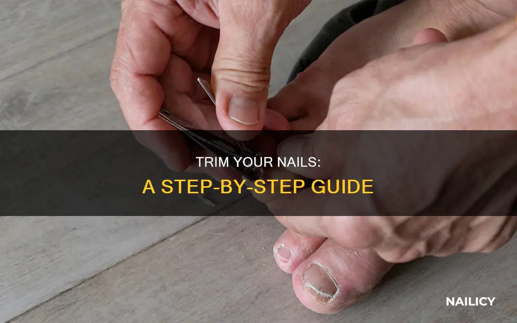 Trim Your Nails: A Step-By-Step Guide | Nailicy