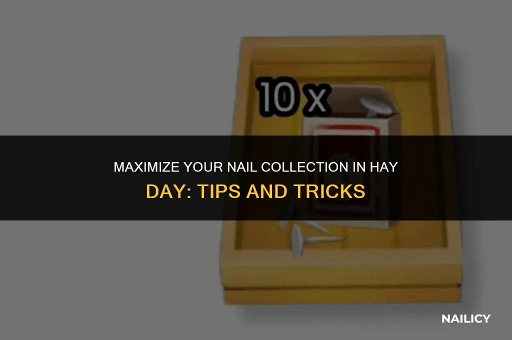 Maximize Your Nail Collection In Hay Day: Tips And Tricks | Nailicy