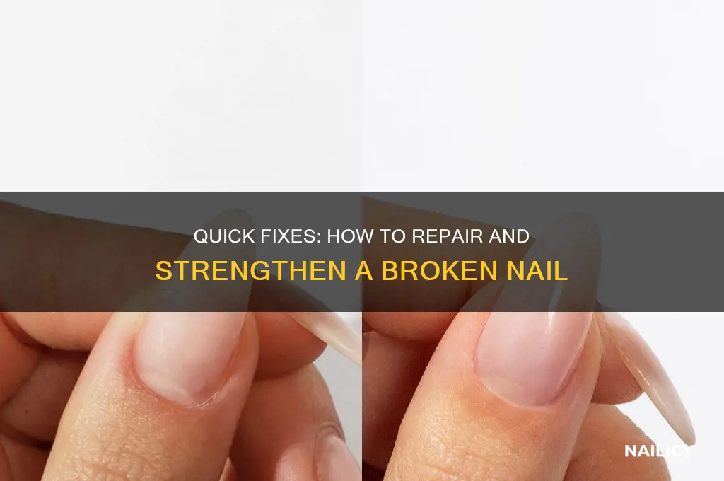 Quick Fixes: How To Repair And Strengthen A Broken Nail | Nailicy