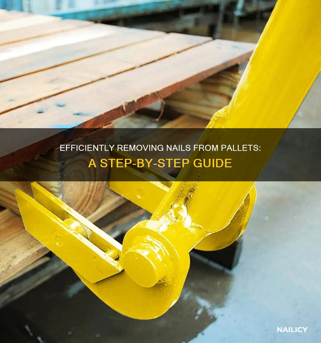 Efficiently Removing Nails From Pallets: A Step-By-Step Guide | Nailicy